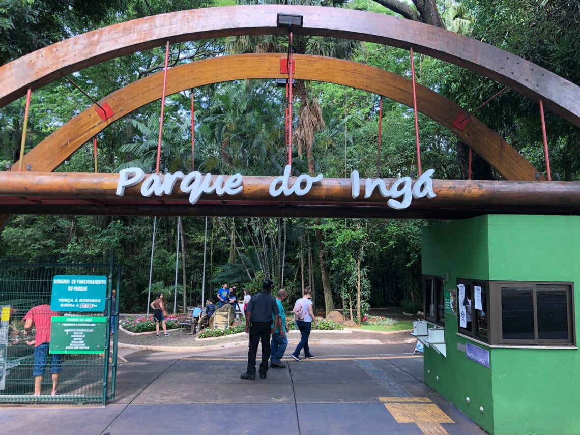Parque do Ingá completa 50 anos com muita natureza e muito abandono